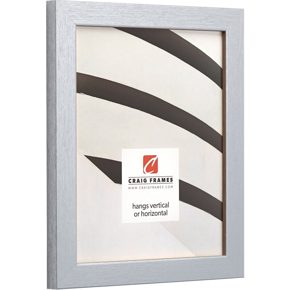 Craig Frames Essentials, 1 Inch Wide Modern Brushed Silver Picture ...