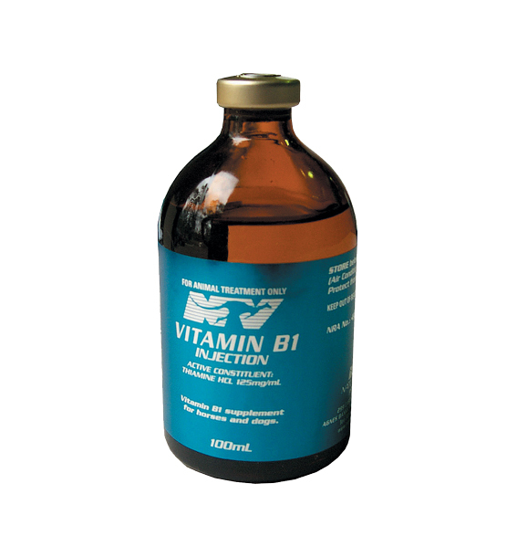 NV Vitamin B1 Injection 100ml for sale online | eBay