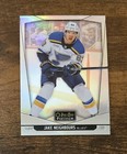 2024-25 O-Pee-Chee Platinum Rainbow Parallel Jake Neighbours #33 St ...