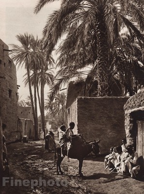 1924 Original NORTH AFRICA Tunisia Biskra Oasis Mule Arab By LEHNERT ...