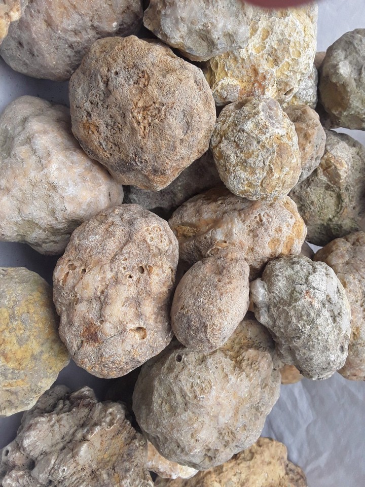 Unopened Geodes Large Variety Mixed Natural Quartz Kentucky Crystal ...