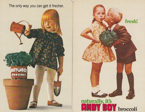 ADS - ANDY BOY - 2 - single vintage playing cards | eBay.de