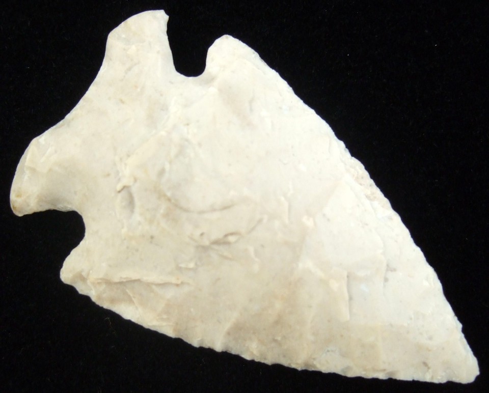 Exceptionally Fine 1 7/8 inch Missouri Pine Tree Point Arrowheads | eBay