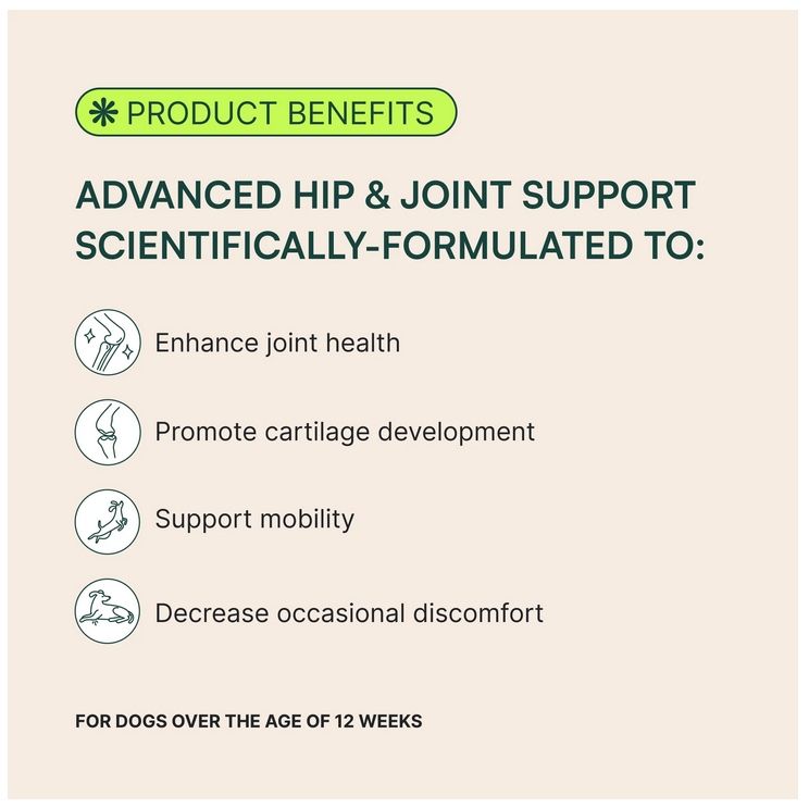 Advanced Hip & Joint Support for Dogs – for Large Breeds over 65lbs ...