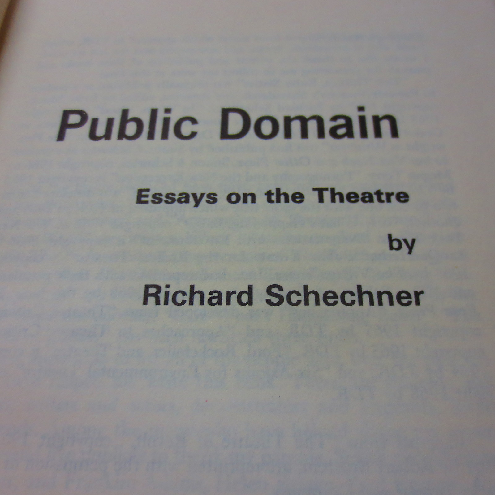 Public Domain Essays on the Theatre by Richard Schechner Vintage ...