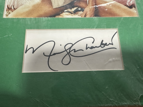MARILYN CHAMBERS PHOTO & Signature | eBay
