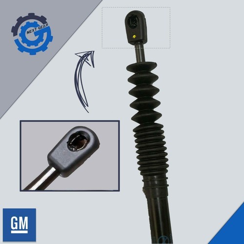 23388850 New GM OEM Rear Tailgate Lift Supports Chevrolet GMC 2019-2021 ...