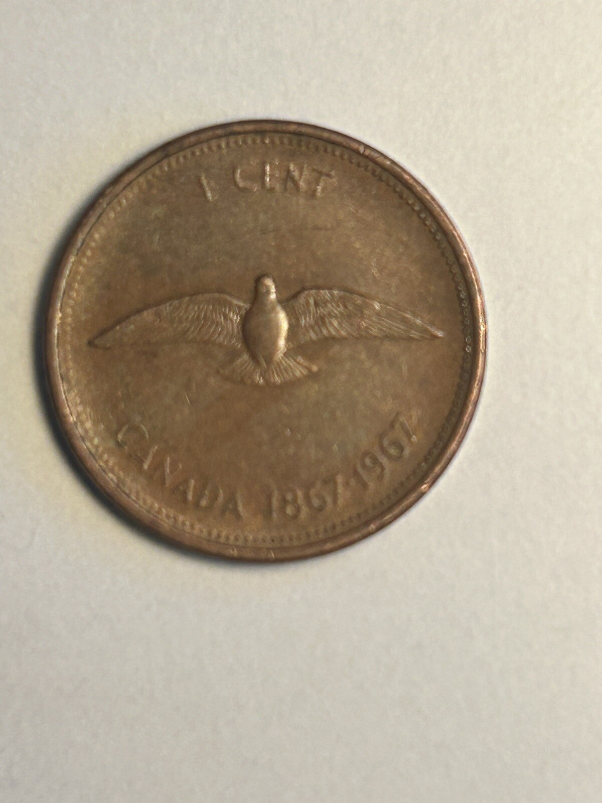 1867-1967 Canada 1 Cent Coin-Centennial Canadian Penny Rock Dove Penny ...