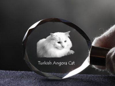 Turkish Angora, Cat Crystal Round Keychain, Crystal Animals DE | eBay