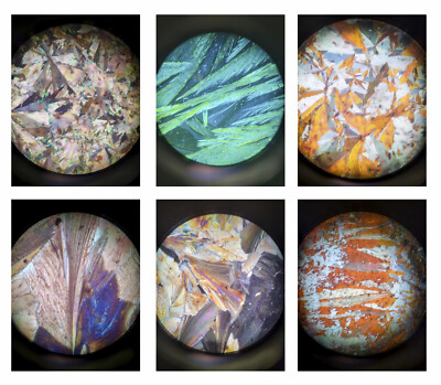 Custom Fit Microscope Linear Polarizer Filter Kit - 98% Extinction ...