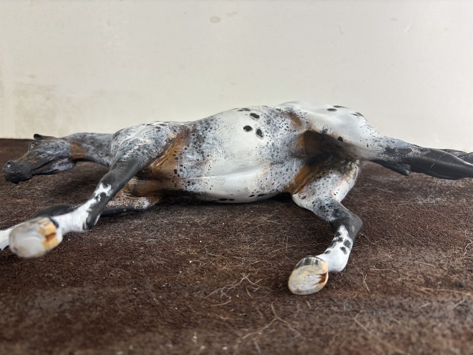 Customized Breyer Traditional "Dundee" Customized to Bay Semi-leopard ...