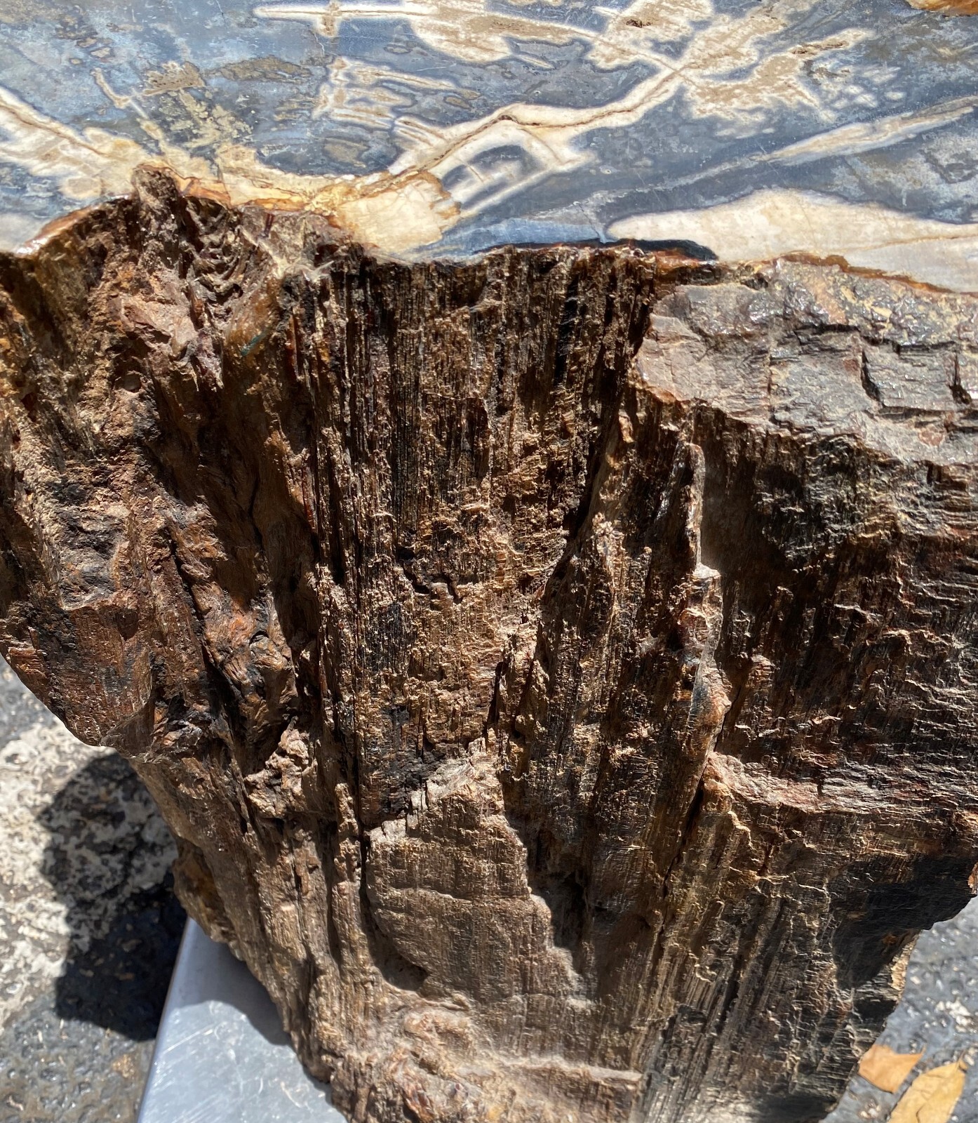 Rare Petrified Wood Trunk Bark 112 lbs Fossil | eBay