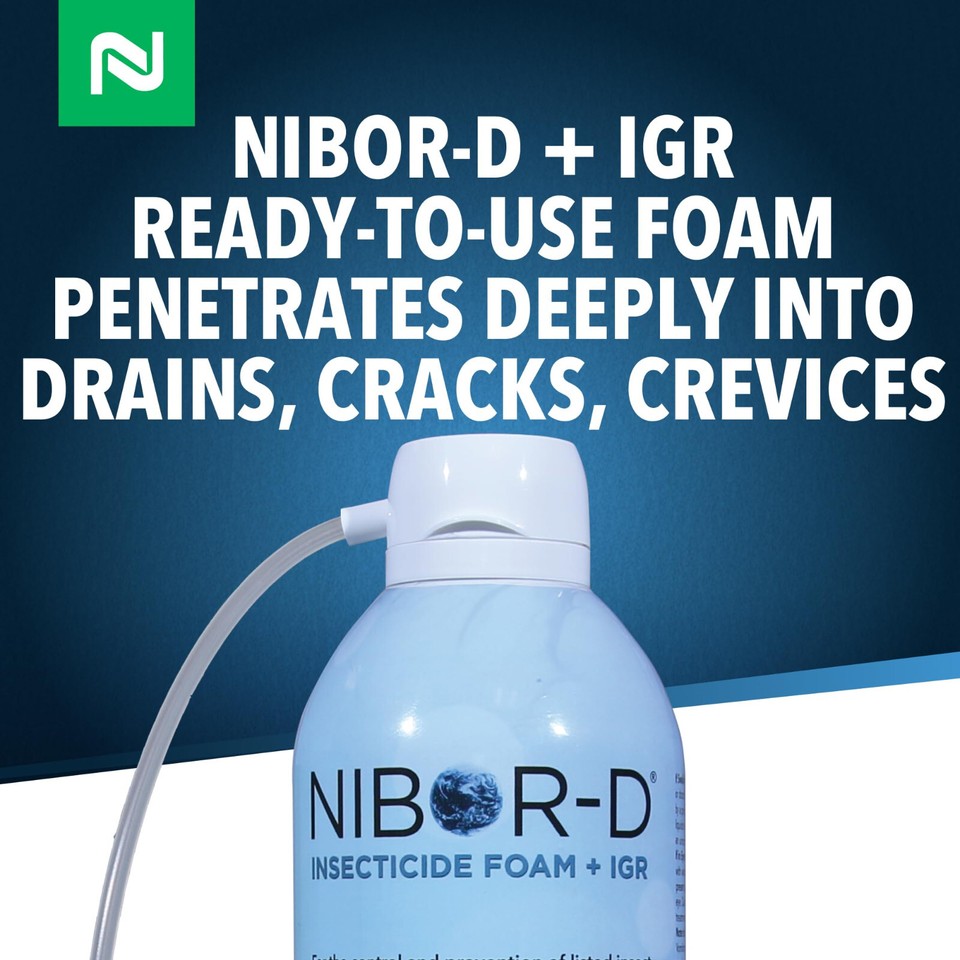 21 oz Nibor-D Insecticide Foam + IGR Kills Drain & Fruit Flies Gnats ...