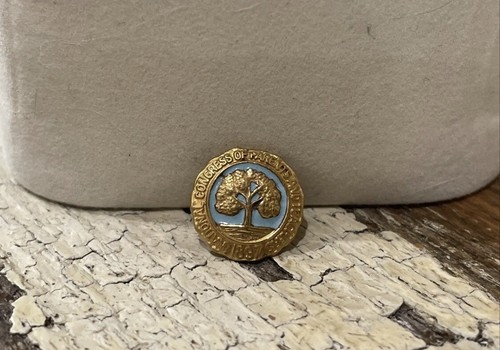 National Congress of Parents and Teachers pin P1 | eBay