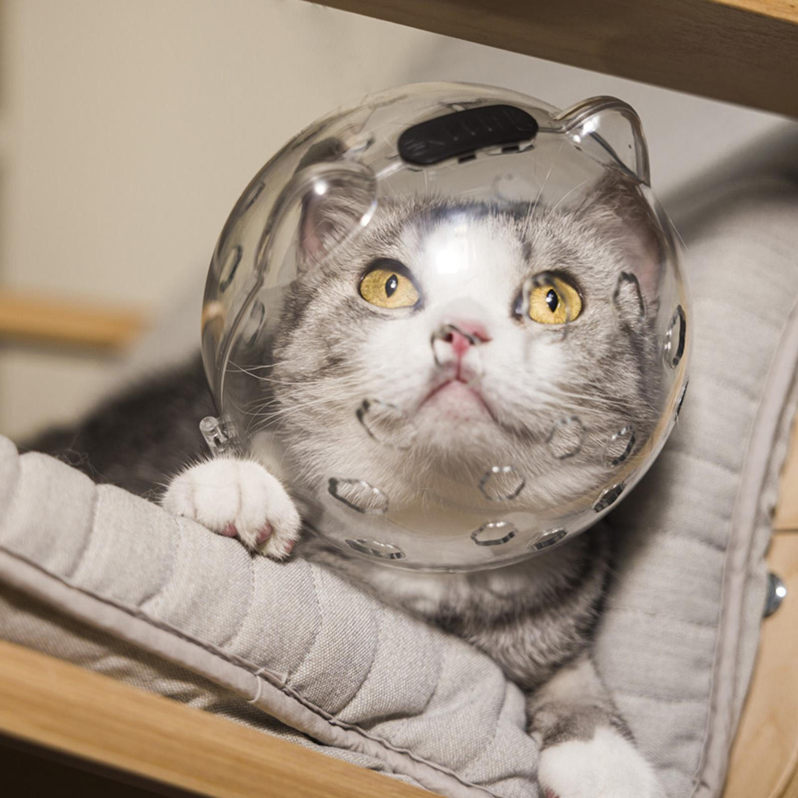 Pet Space Hood Helmet Breathable Cat Prevent Biting Grooming Cover Mash ...