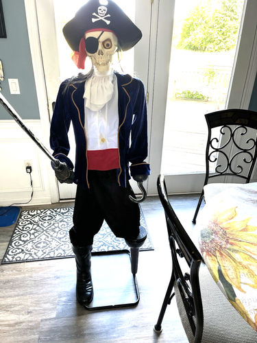 Halloween Animatronic Pirate Captain Retired Prop Vintage | eBay