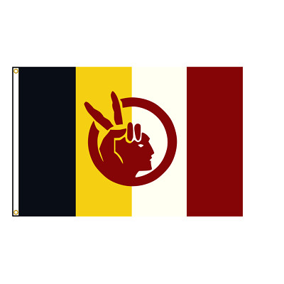 American Indian Movement Flag AIM Native 2x3 or 3x5 | eBay