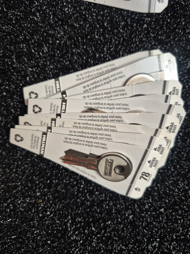 Locksmith 120 Key Blank Starter set Variety Pack 10x Of 12 common ...
