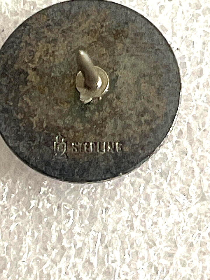 U.S Federal Government Accountant Association Sterling Silver Lapel Pin ...