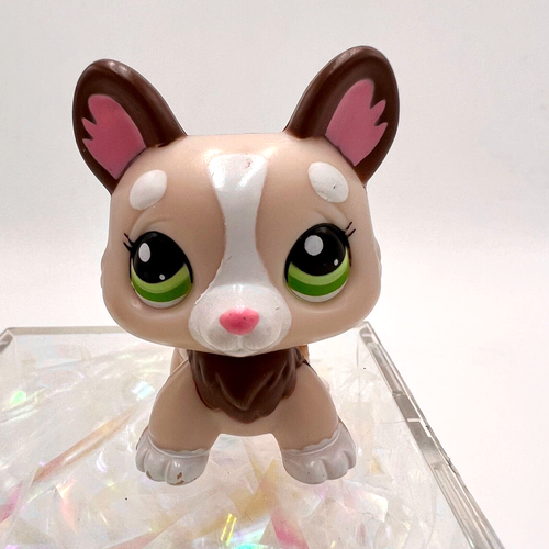 WALKABLE CORGI DOG #2311 - Authentic Littlest Pet Shop - Hasbro LPS | eBay