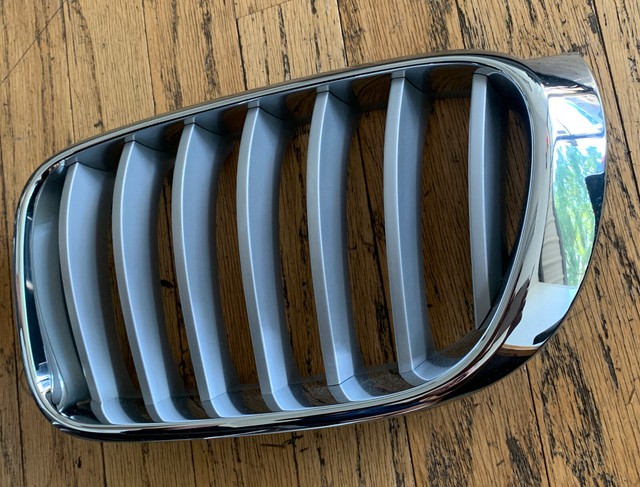 Genuine BMW OEM 51137367421 Grille Front Left for sale online | eBay