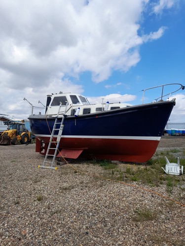 Colvic Watson Boat | eBay UK