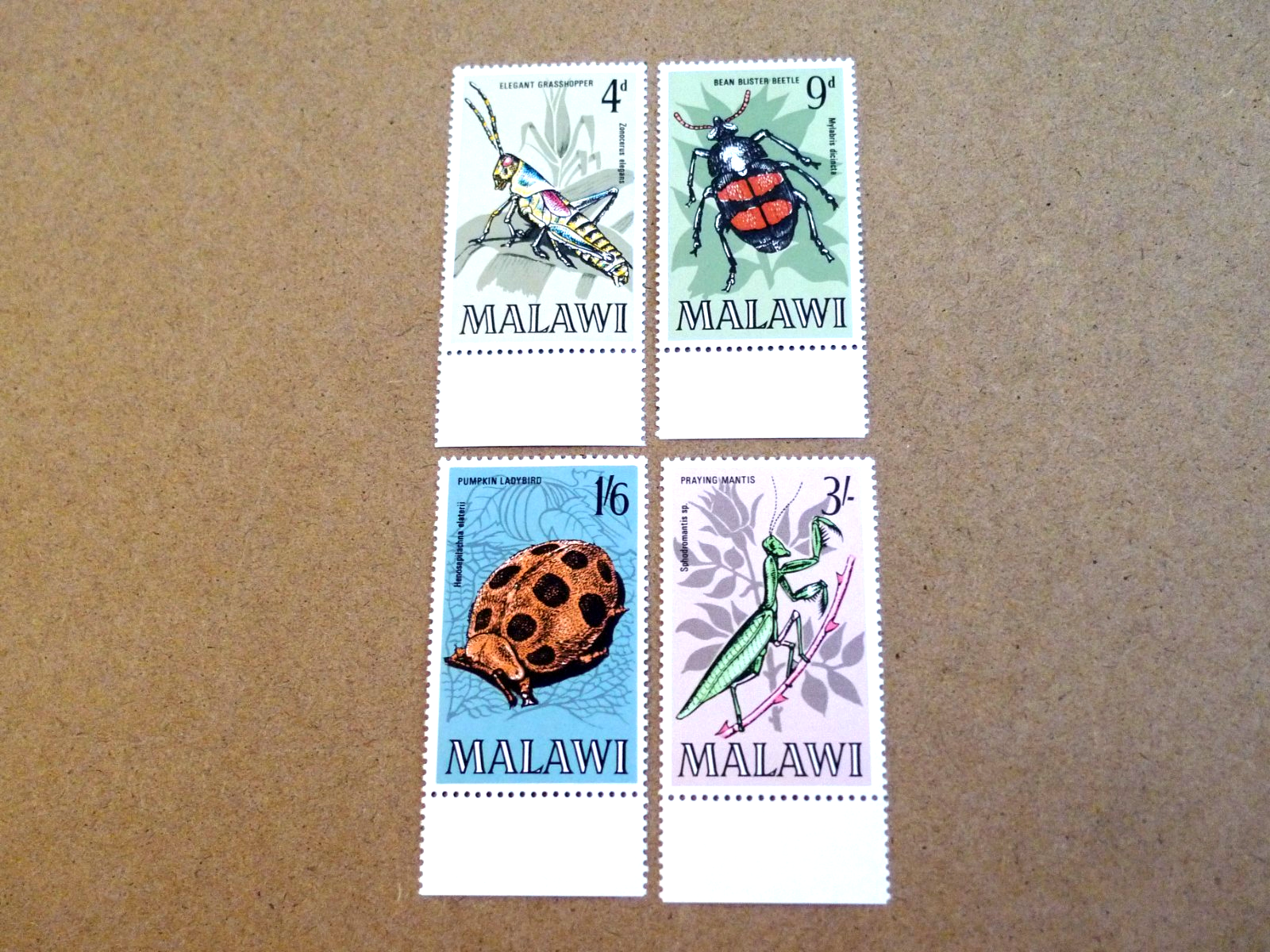 Malawi-1970 Insects of Malawi | eBay UK