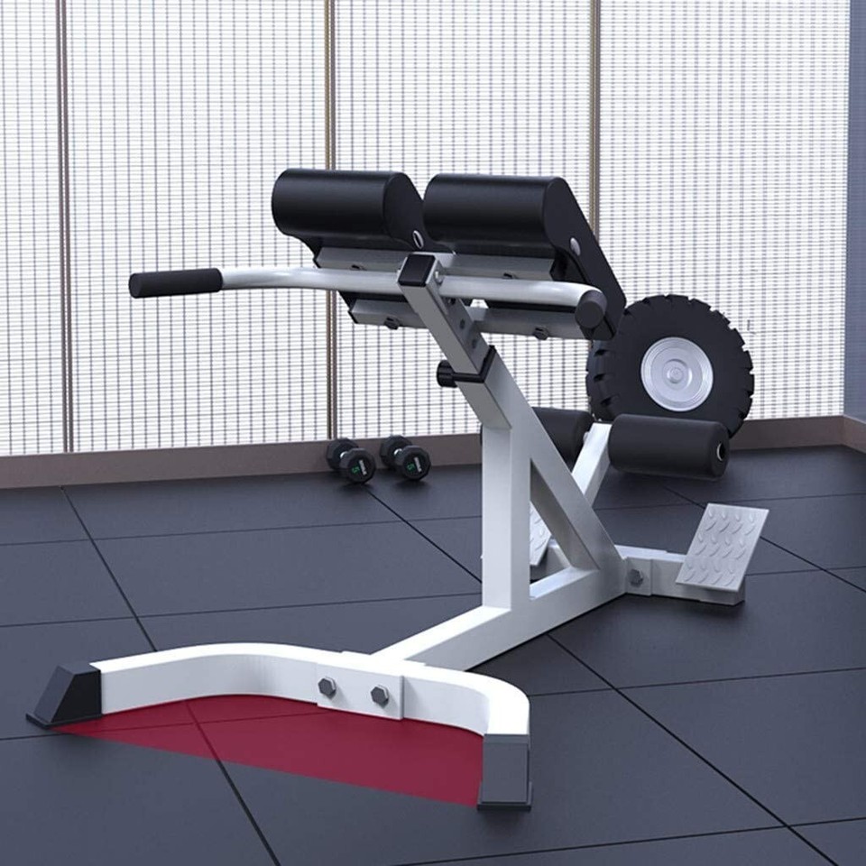 Roman Chair Lower Back Extension Bench reverse hyperextension machine ...