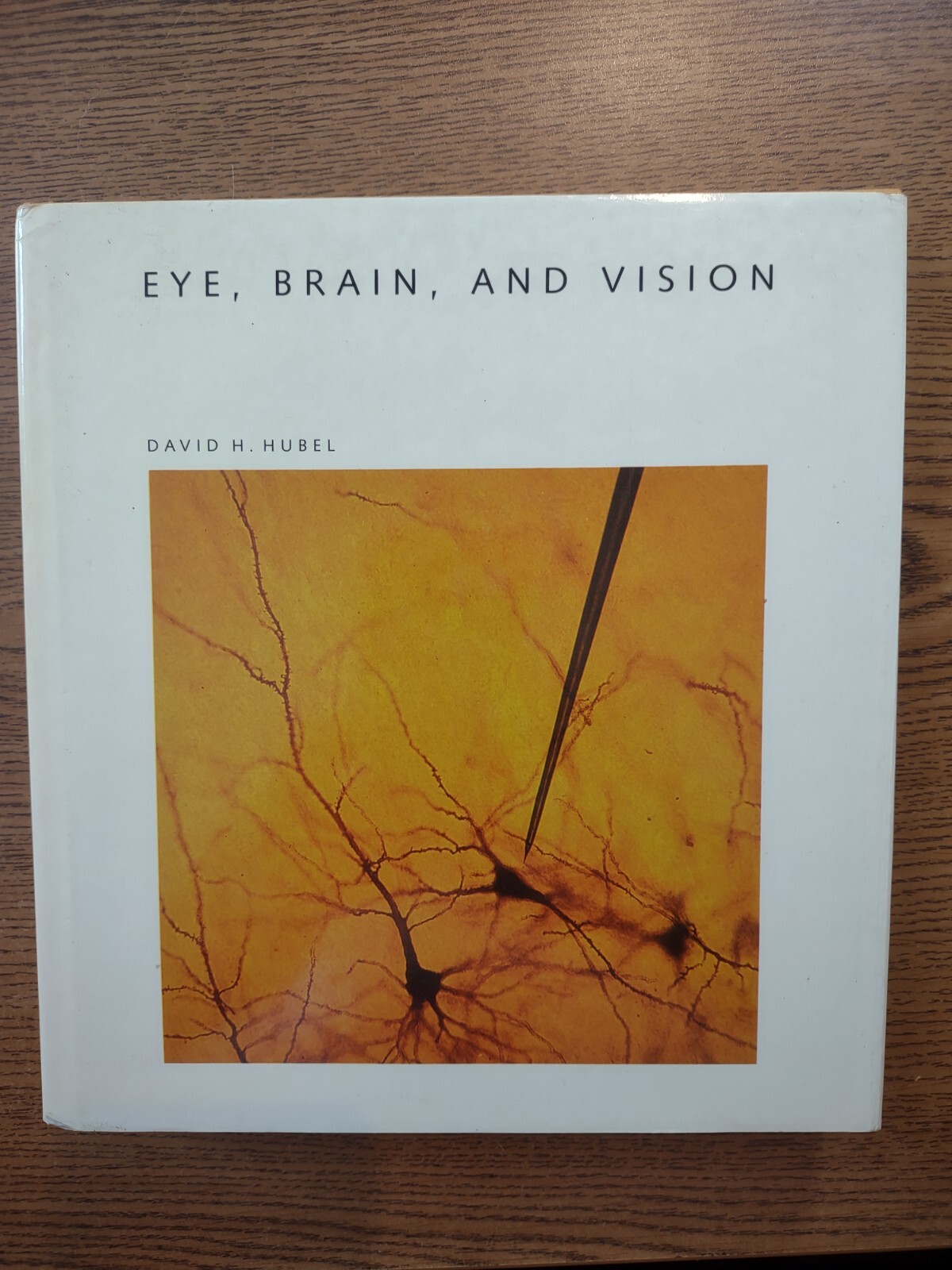 Scientific American Library: Eye, Brain and Vision by David H. Hubel ...