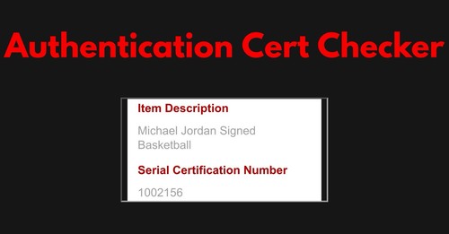 Michael Jordan Signed Basketball. Elite authentication #1002156 ...