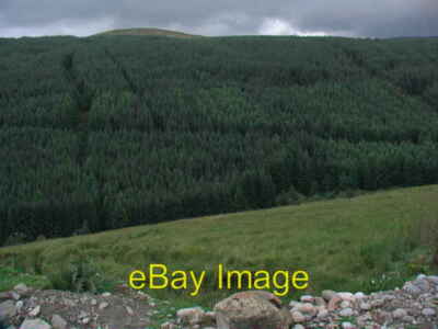 Photo 6x4 Forest plantation on north side of Gleann Ghlas Dhoire ...