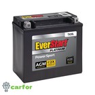 EverStart Premium Boxed AGM Power Sport Battery, Group Size TX20L 12 ...