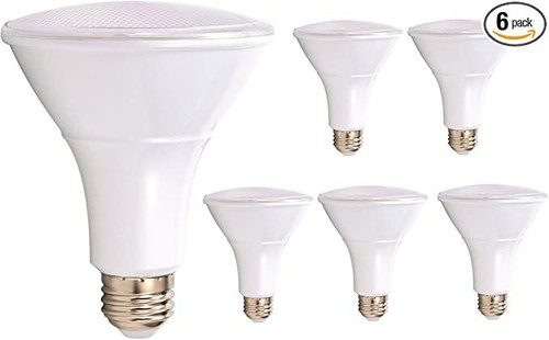 Lit-Path Daylight 750 Lumens/5000K 6-Pack Dimmable Light Bulbs FREE ...