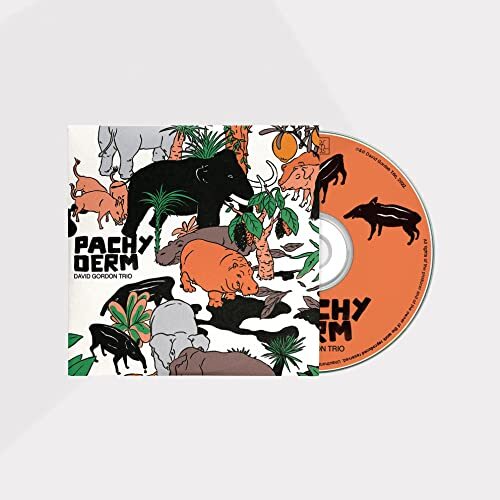 David Gordon Trio Pachyderm CD SAMCD005 NEW | eBay.de