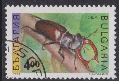 Bulgaria 1992 Insects Stag Beetle 4L Fine Used SG 3855 VGC | eBay
