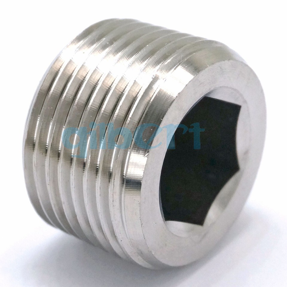 Sizes BSPP BSPT NPT Metric Male 304 Stainless Countersunk End Plug Hex ...
