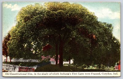 Corydon Indiana~Old Constitutional Elm Tree~Pickett Fence~c1910 ...