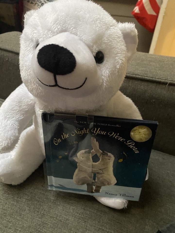On the Night You Were Born Nancy Tillman Hardcover Book & Plush Bear ...