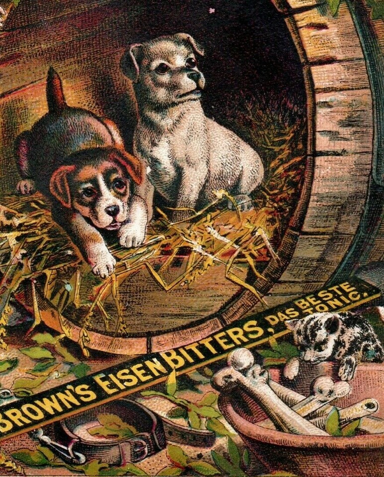 1880's Scare Quack German Language Brown's Bitters Victorian Trade Card ...