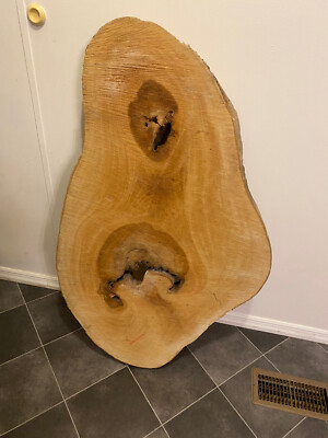 Large Stunning Live Edge Sycamore Slab 43" x 27"-13" x 1.75" Rustic ...