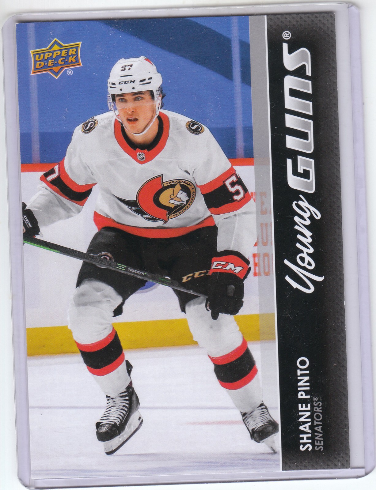 Shane Pinto 21/22 U.D. "JUMBO" Young Gun "JUMBO" ROOKIE ....Senators | eBay