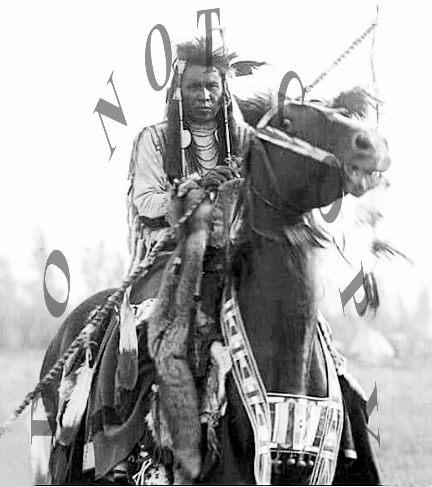 ANTIQUE REPRODUCTION 8X10 PHOTOGRAPH AMERICAN CROW INDIAN WARRIOR ON ...