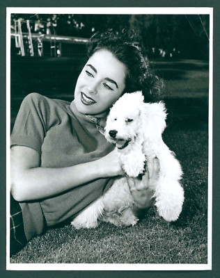 EARLY ELIZABETH TAYLOR ORIGINAL PHOTO "CYNTHIA" CLARENCE BULL AGE 15 VG ...