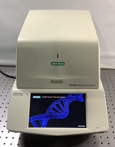 Bio-Rad CFX384 Real-Time PCR Detection System w/ C1000 Touch Cycler | eBay