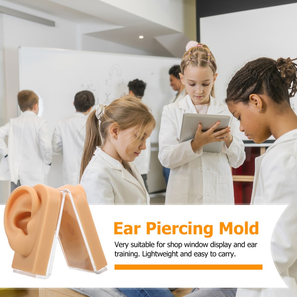 Ear Model Jewelry Display Products Ear Mold Ear Bracket Model Silicone ...