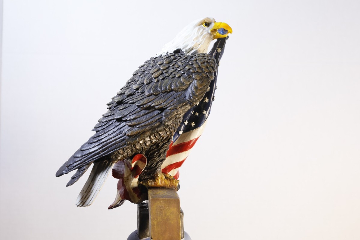 Eagle Amerikansk Flagg 911 American Flag Eagle World Trade Hi Res