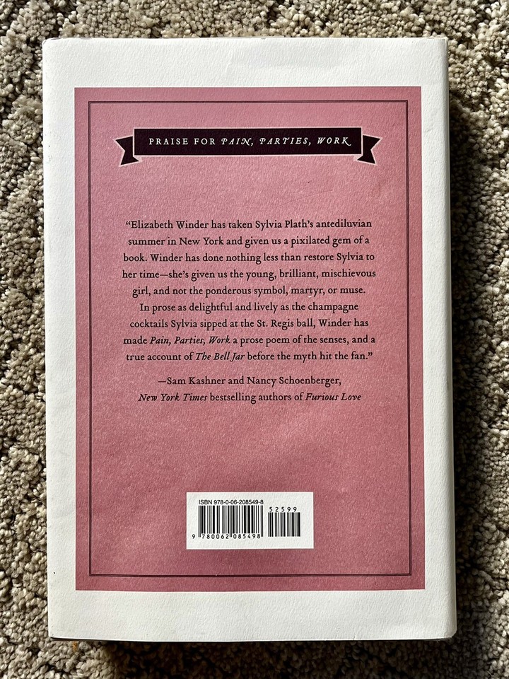 PAIN, PARTIES, WORK By Elizabeth Winder 9780062085498| eBay