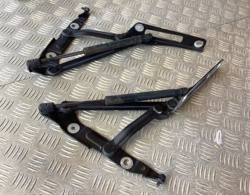 VE CALAIS COMMODORE Gas Strut Assist Boot Lid Hinges Pair LH & RH ...