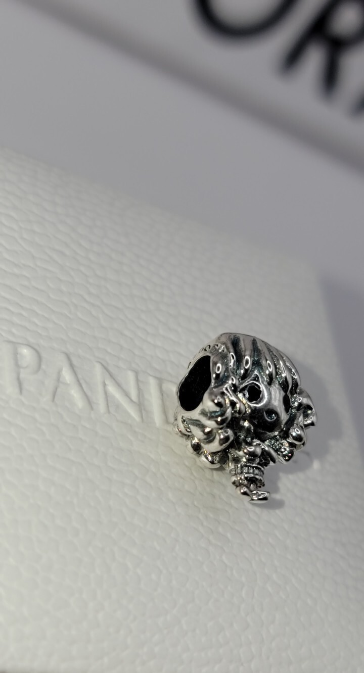 Authentic Pandora Harry Potter Hermione Grange Charm … - Gem