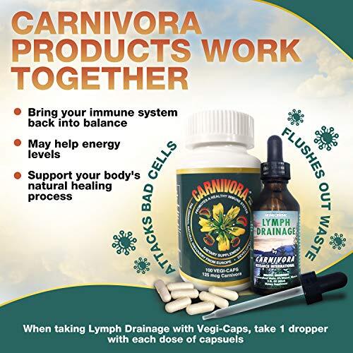 Carnivora Vegi-Caps - Gluten Free, Vegan Friendly Capsules to Reduce ...